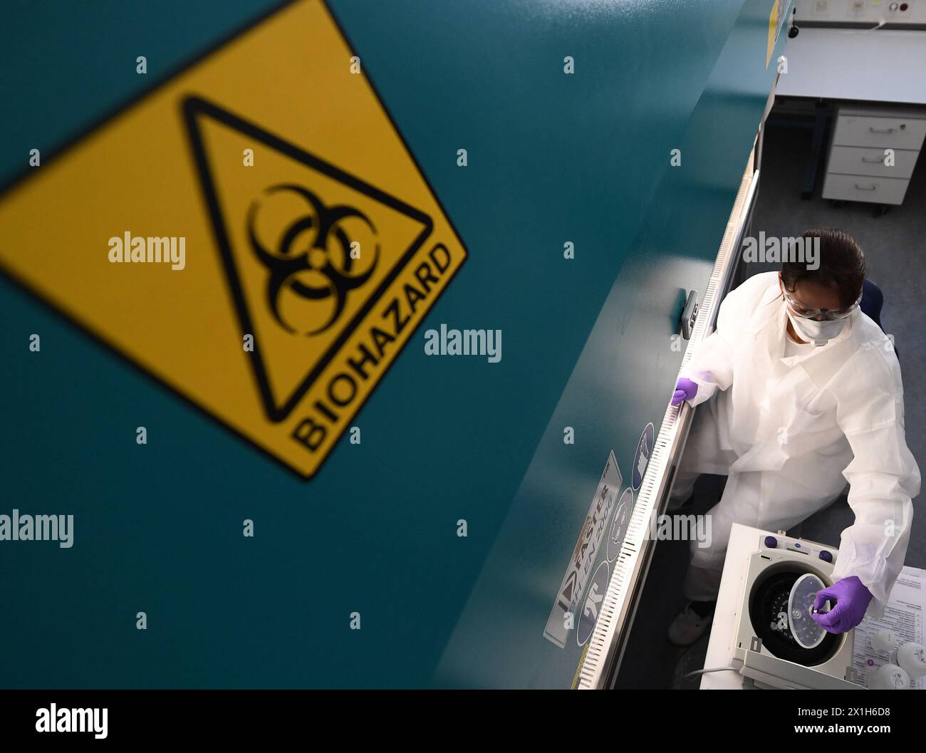 AGES - Austrian Agency for Health and Food Safety Ltd. - Animal Health ...