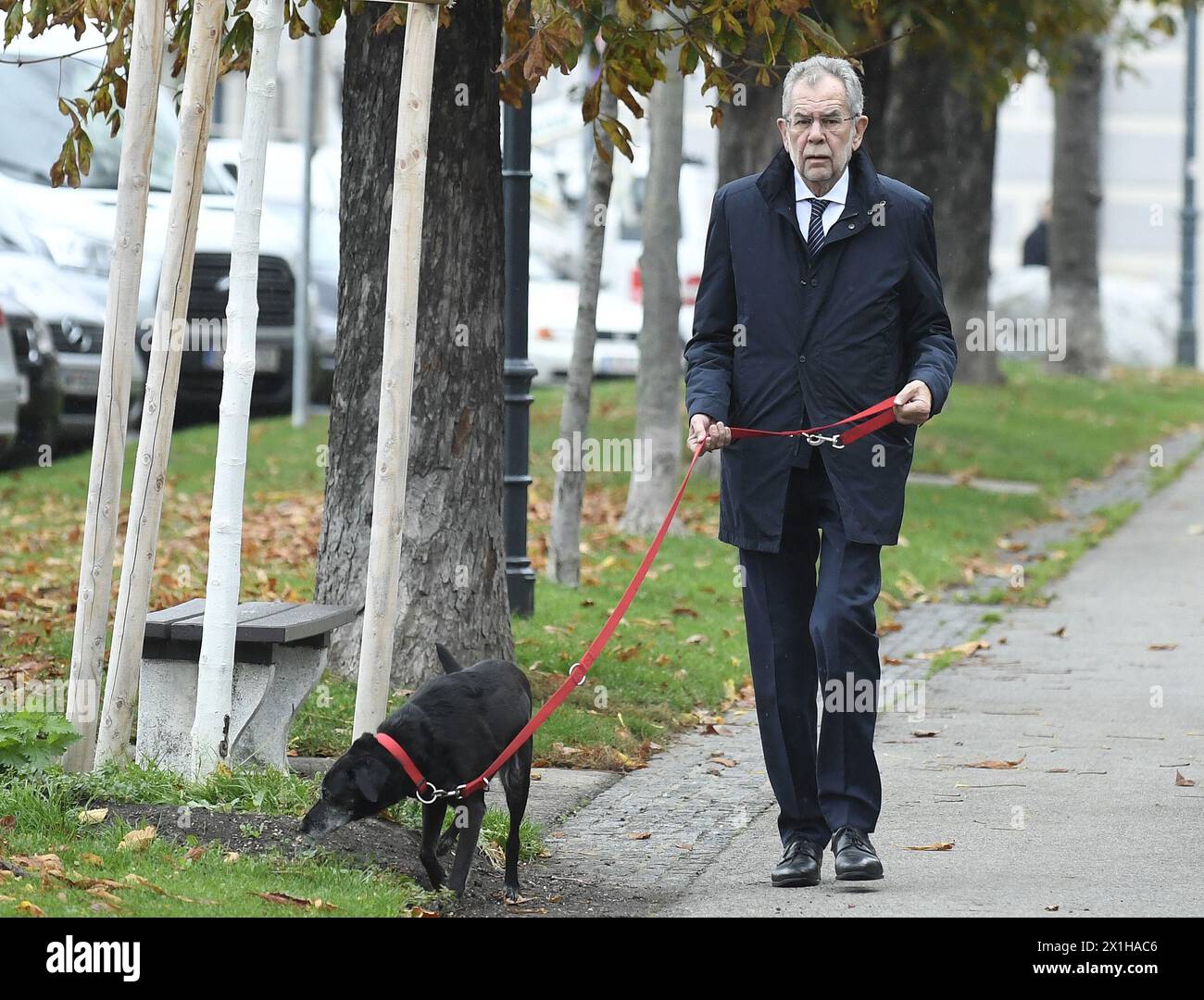 Alexander van der bellen dog hi-res stock photography and images - Alamy
