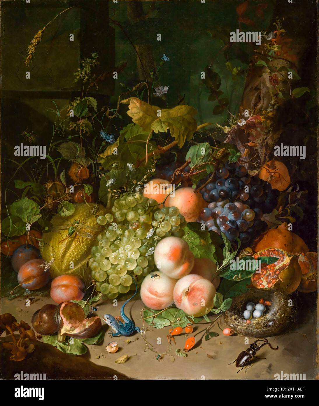 Rachel Ruysch, Fruit still life with deer beetle and nest, painting in ...