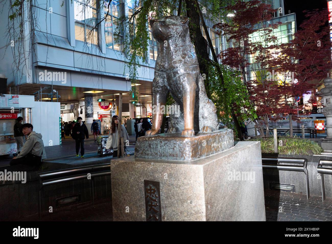 Tokyo, Japan. 14th Apr, 2024. The Statue of Hachiko.The Hachiko Statue ...