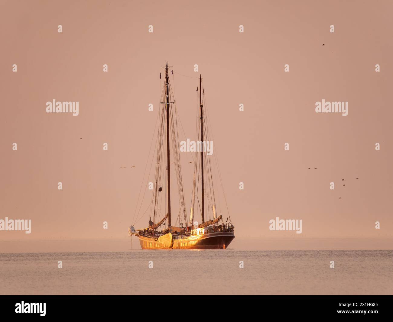 Two-masted sailing ship at anchor in the Wadden Sea during golden hour ...