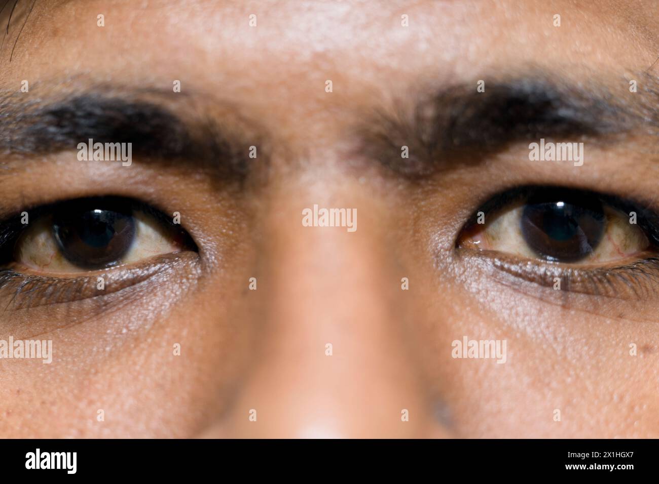 A close-up portrait of a man with Asian features, highlighting his warm brown eyes Stock Photo ...
