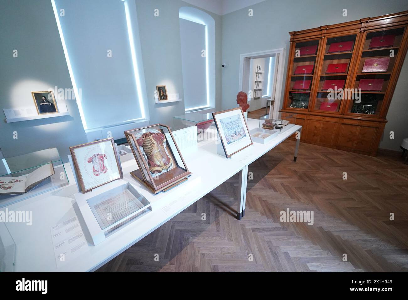 Medical museum vienna hi-res stock photography and images - Alamy