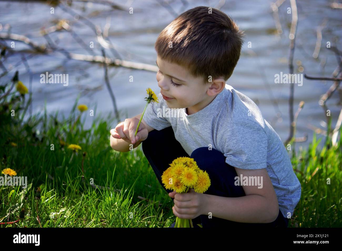 Funny baby sniffs a dandelion. Spring in nature. Allergy to flowering ...