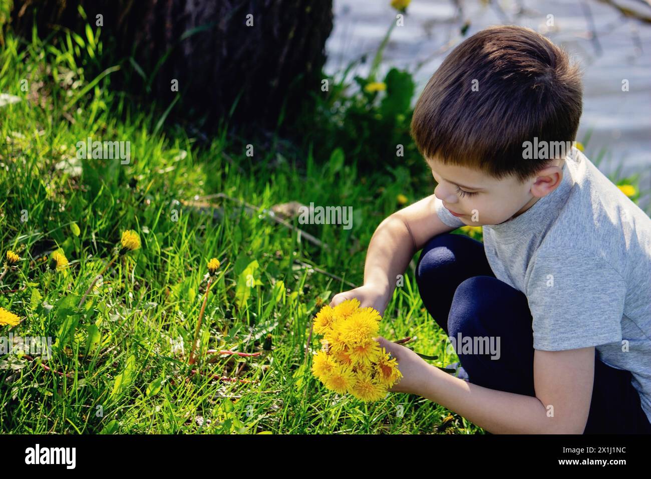 Funny baby sniffs a dandelion. Spring in nature. Allergy to flowering ...