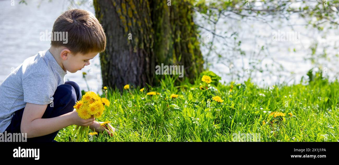 Funny baby sniffs a dandelion. Spring in nature. Allergy to flowering ...