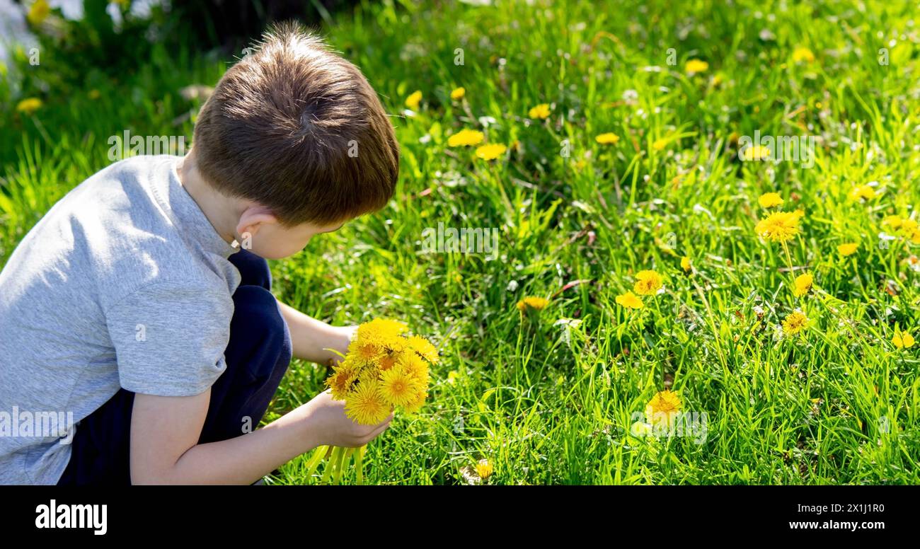 Funny baby sniffs a dandelion. Spring in nature. Allergy to flowering ...