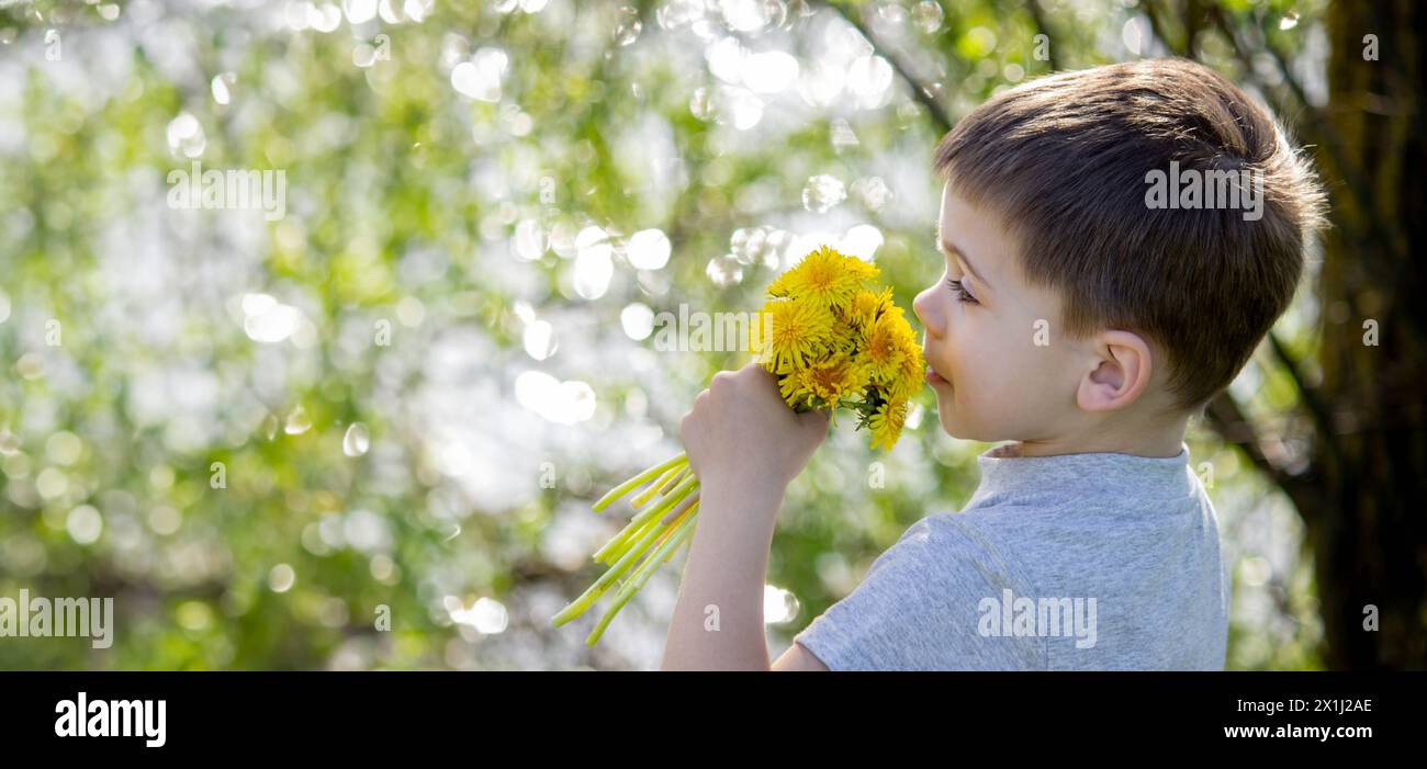 Funny baby sniffs a dandelion. Spring in nature. Allergy to flowering ...