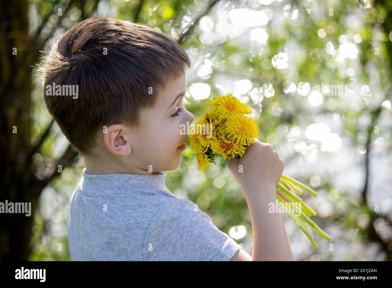 Funny baby sniffs a dandelion. Spring in nature. Allergy to flowering ...