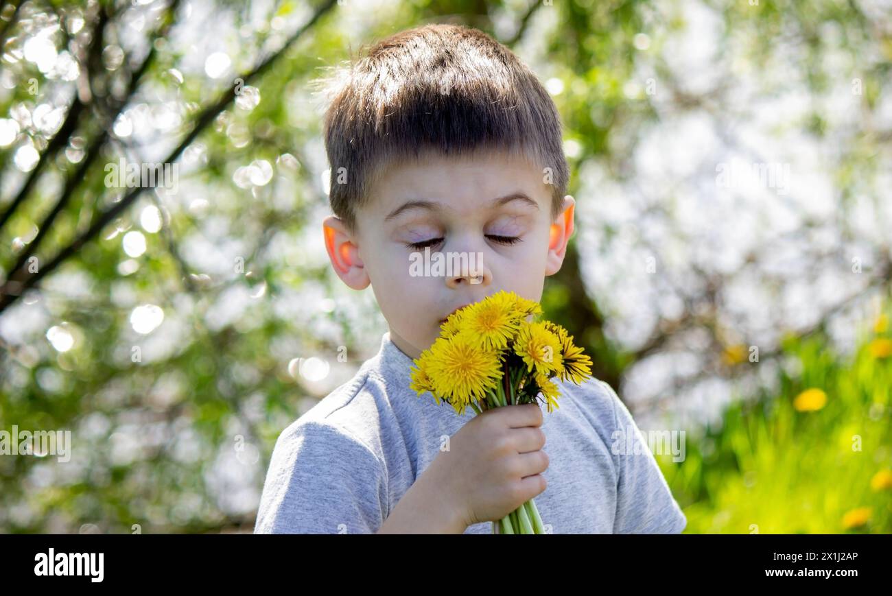 Funny baby sniffs a dandelion. Spring in nature. Allergy to flowering ...