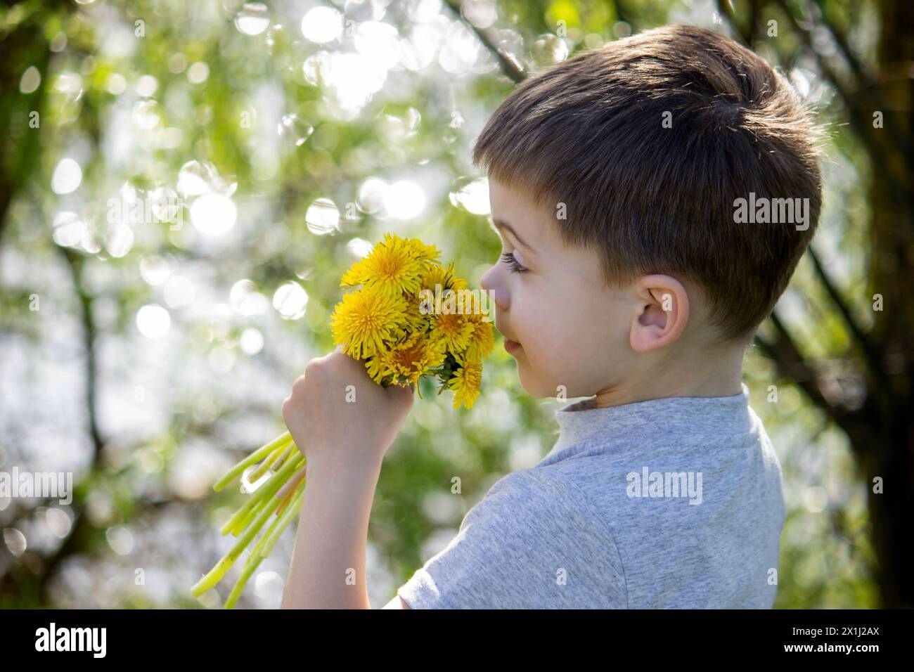 Funny baby sniffs a dandelion. Spring in nature. Allergy to flowering ...