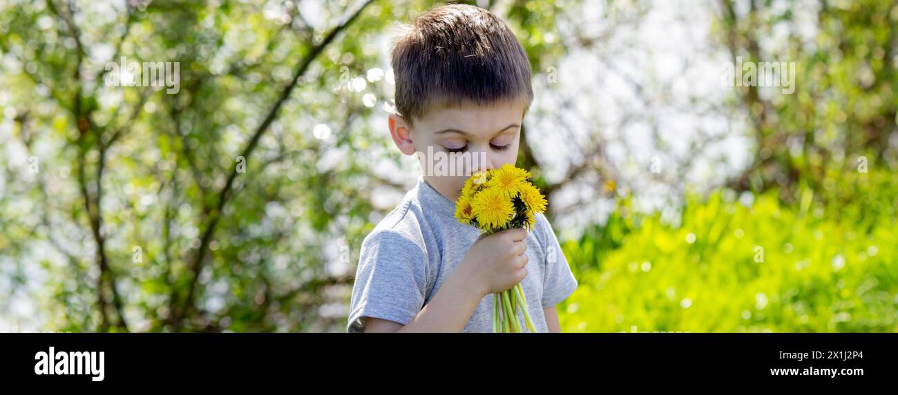 Funny baby sniffs a dandelion. Spring in nature. Allergy to flowering ...