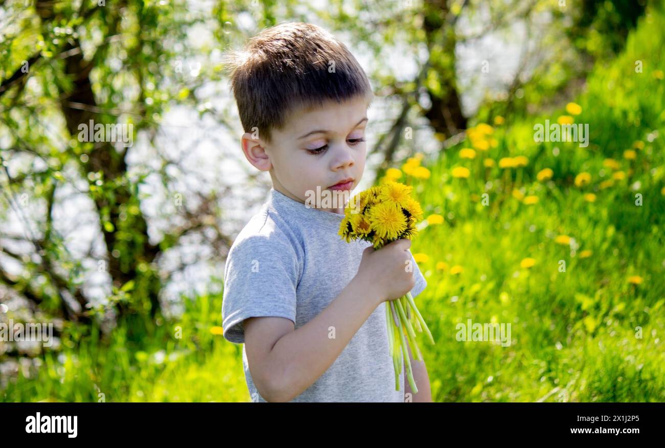 Funny baby sniffs a dandelion. Spring in nature. Allergy to flowering ...