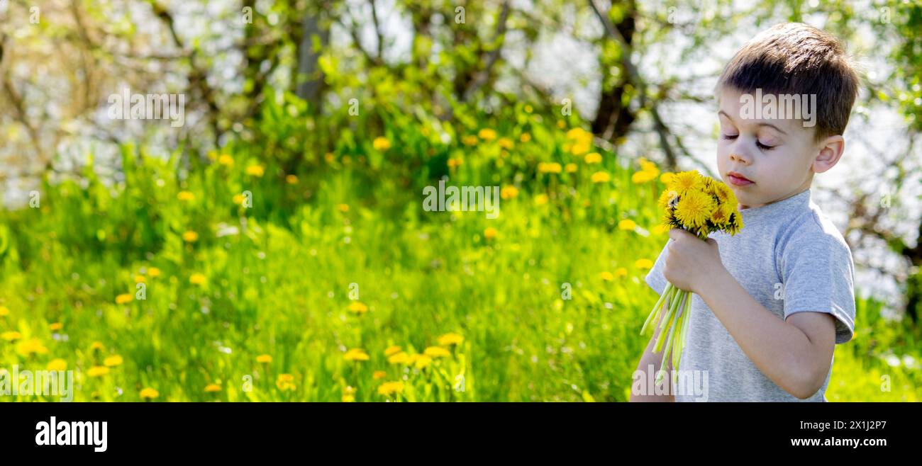 Funny baby sniffs a dandelion. Spring in nature. Allergy to flowering ...