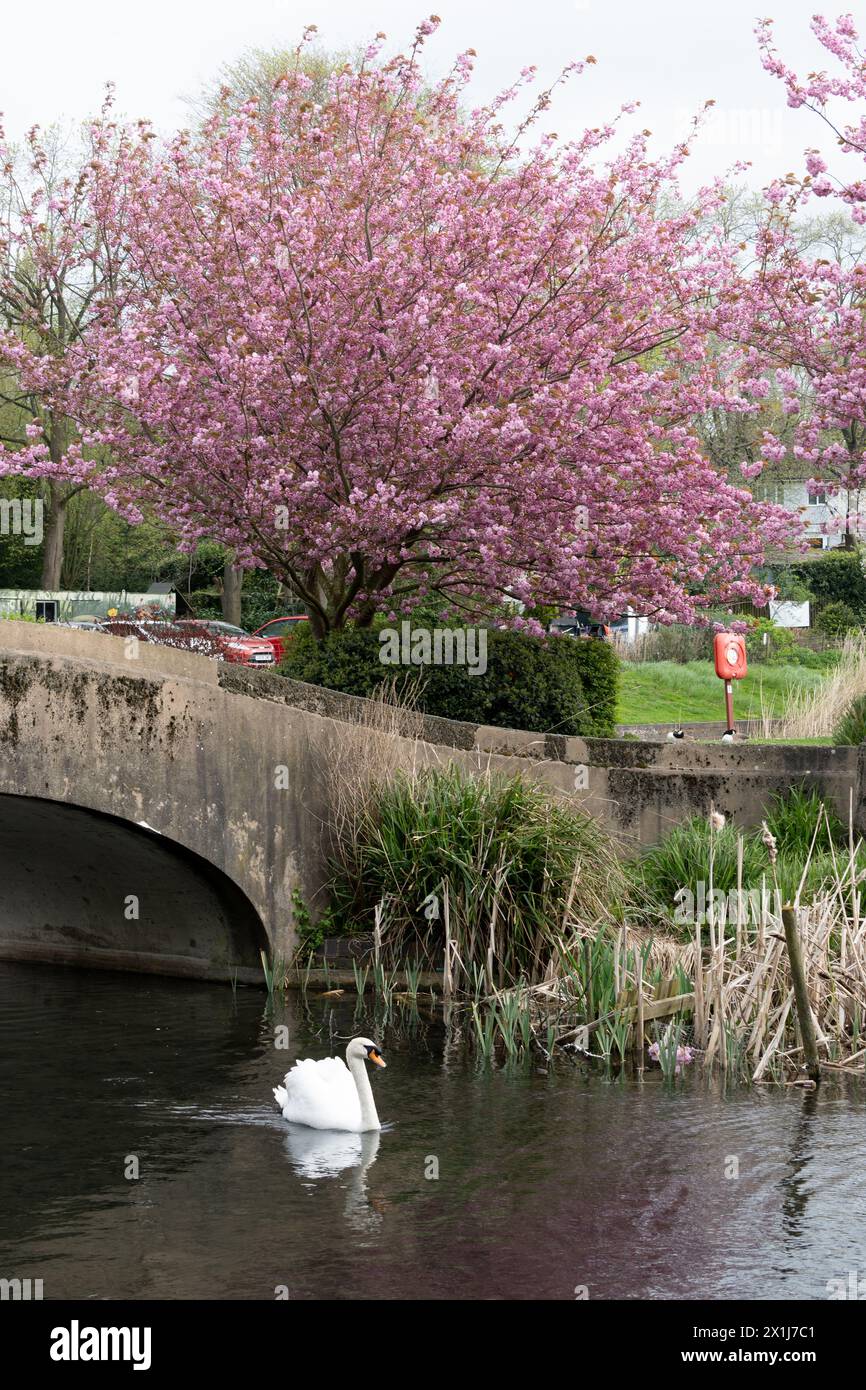 Perry Hall Park, Birmingham, West Midlands, England, UK Stock Photo - Alamy