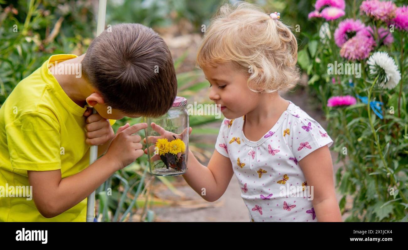 Boy butterfly net grass hi-res stock photography and images - Alamy