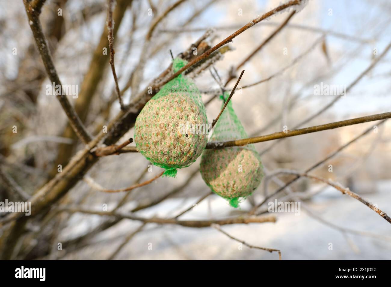 Fauna volatile hi-res stock photography and images - Alamy