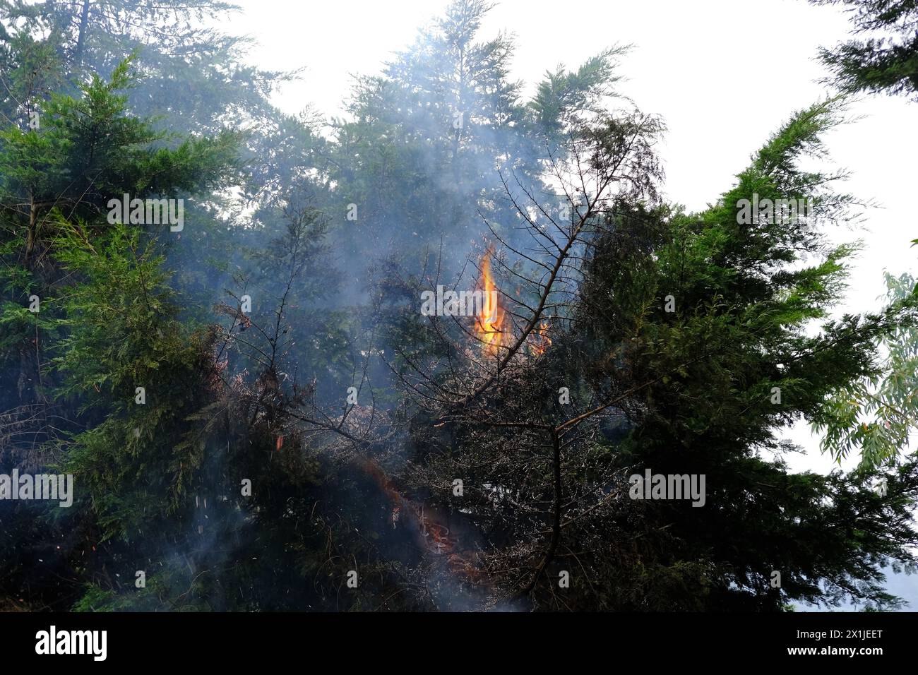 Crown fire hi-res stock photography and images - Alamy