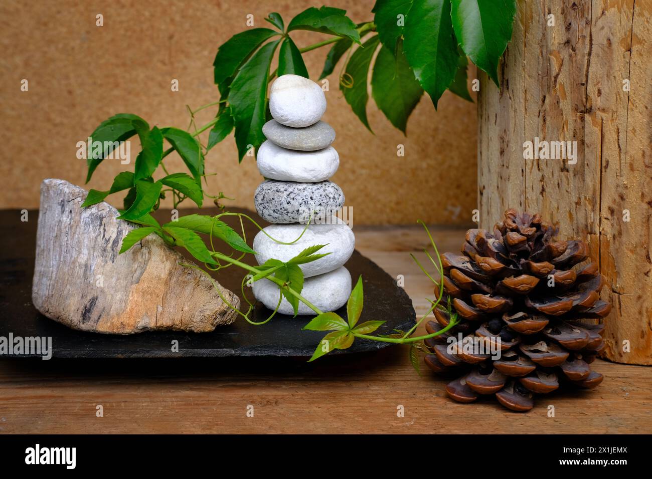 Round stones arranged in Zen tower pyramid, green plants, cedar cone ...