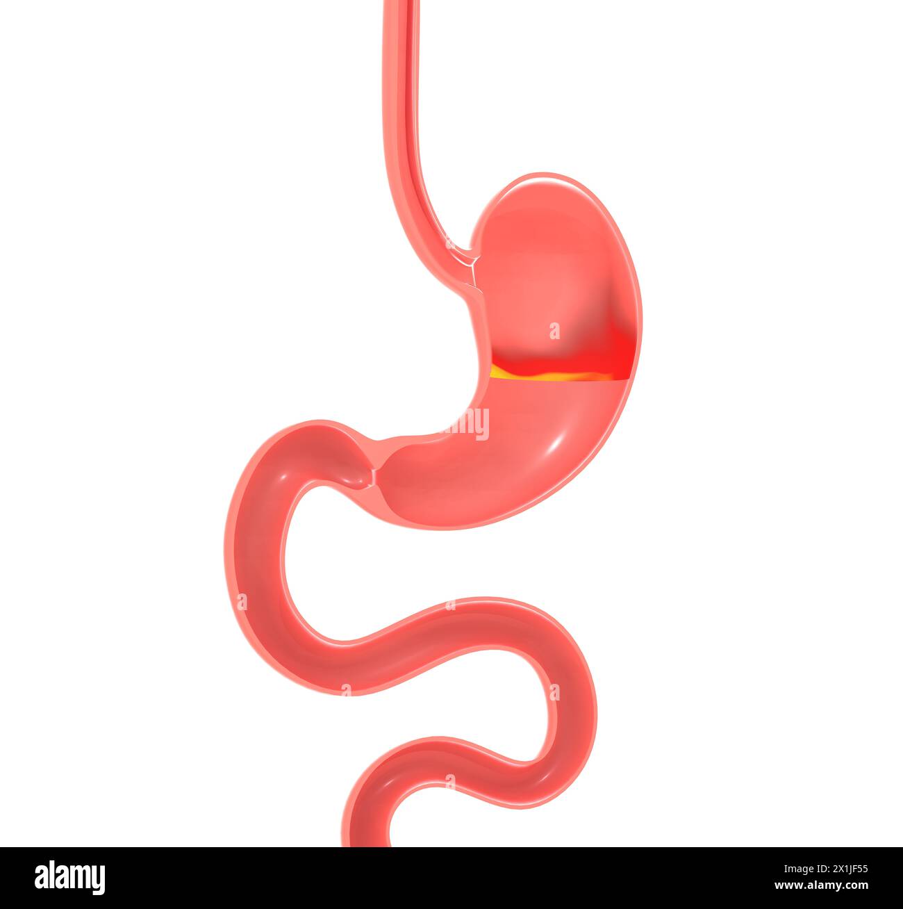 Digestive fire hi-res stock photography and images - Alamy