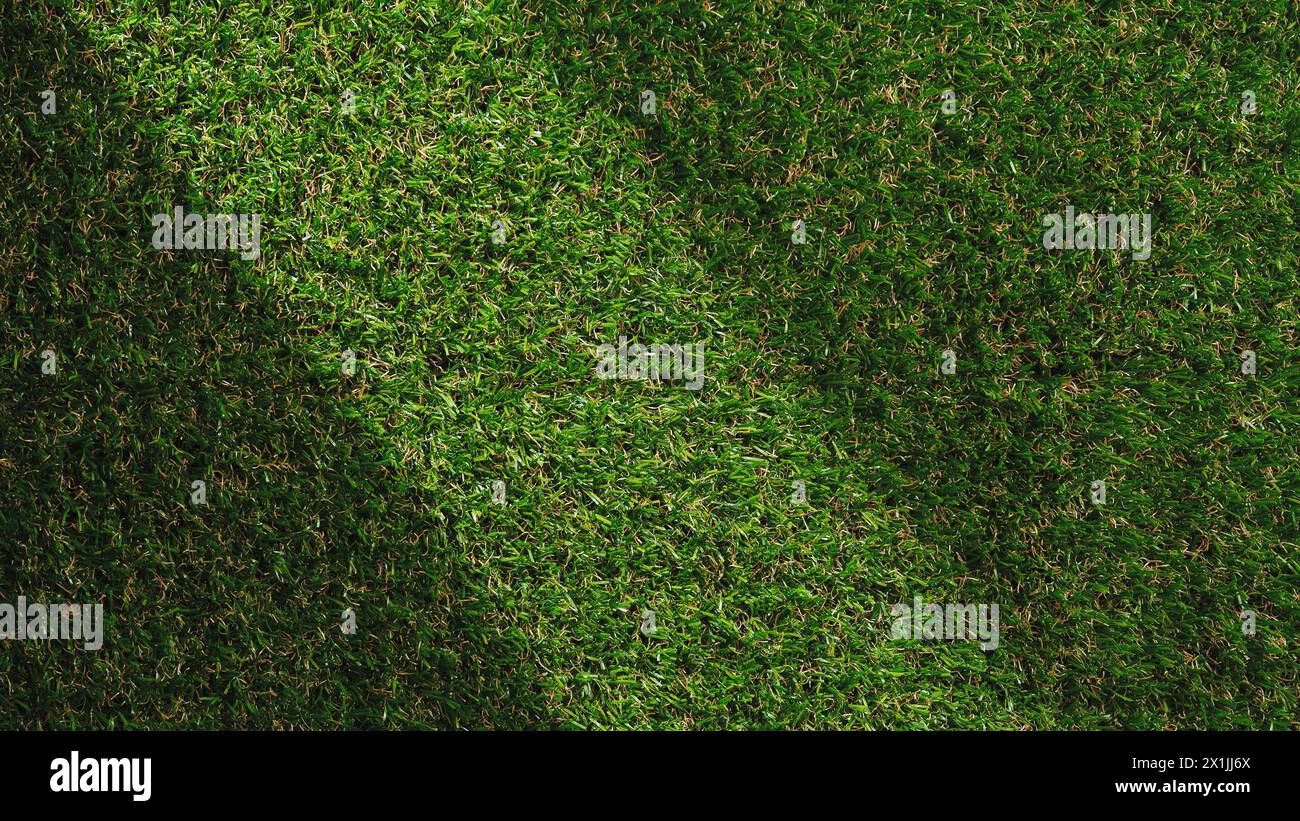 Grass Texture With A Sunlight Beam Stock Photo - Alamy