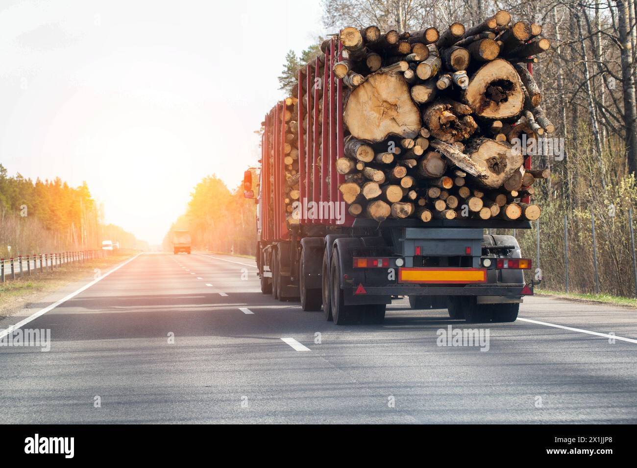 A timber semi-trailer truck transports timber logs along an asphalt ...