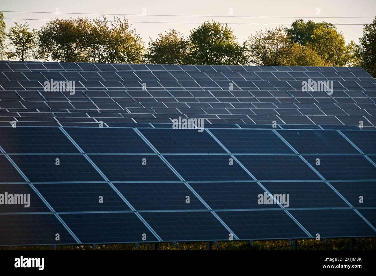 Photovoltaic panel farm with trees in the background Stock Photo - Alamy