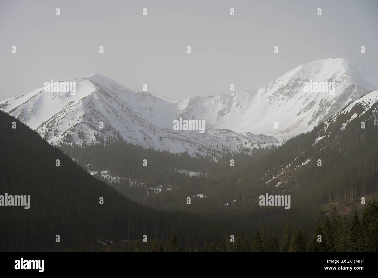 Sahara sand dust in the atmosphere over the Tatra Mountains, Poland ...