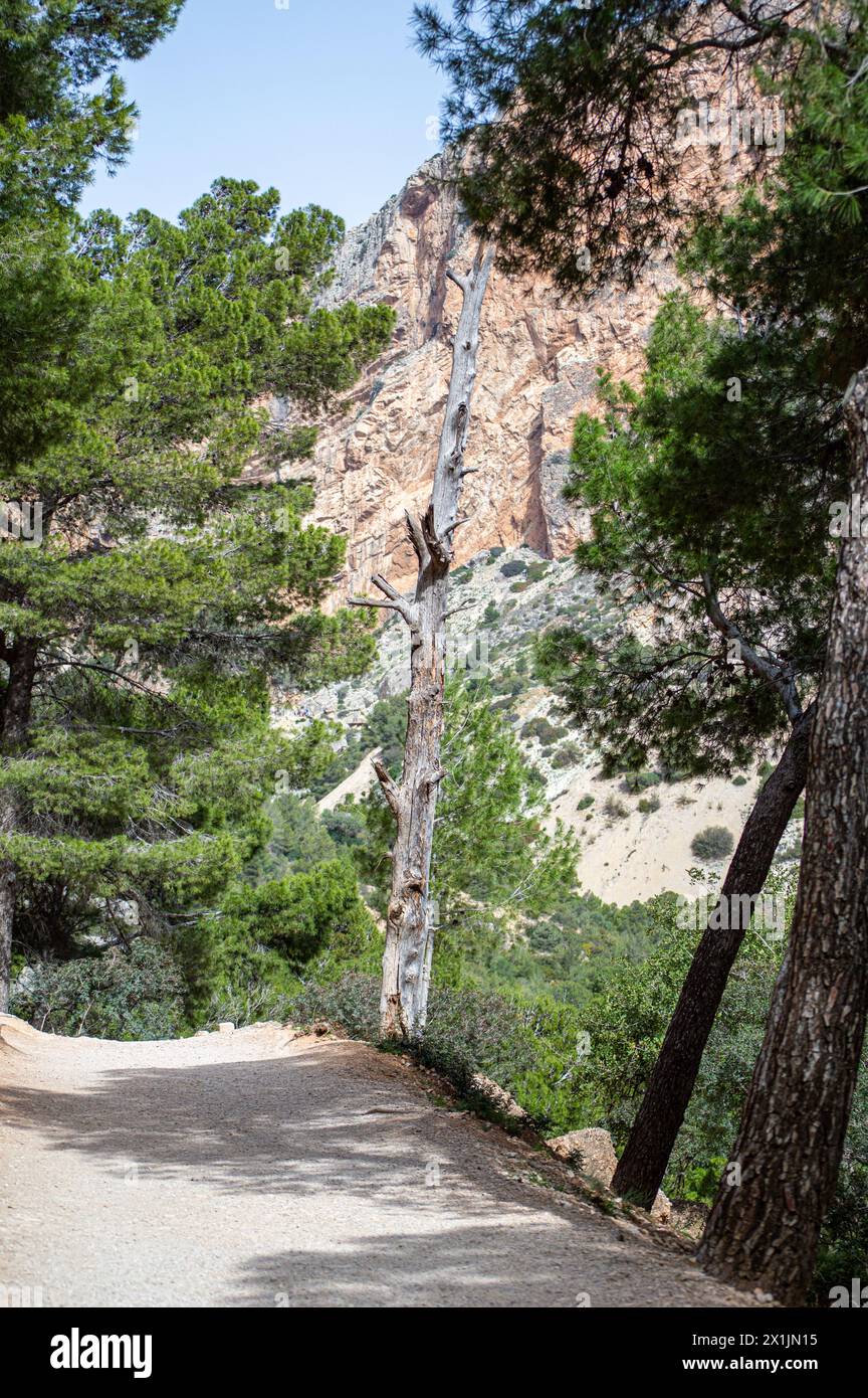Caminito del Ray, The King's Path. Walkway pinned along the steep walls ...