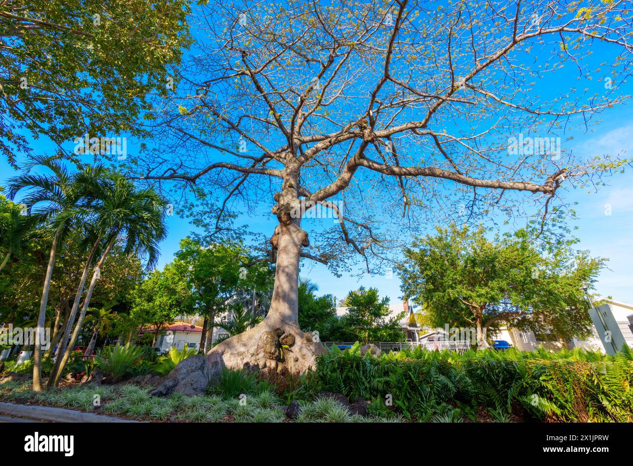 Cuban memorial hi-res stock photography and images - Alamy