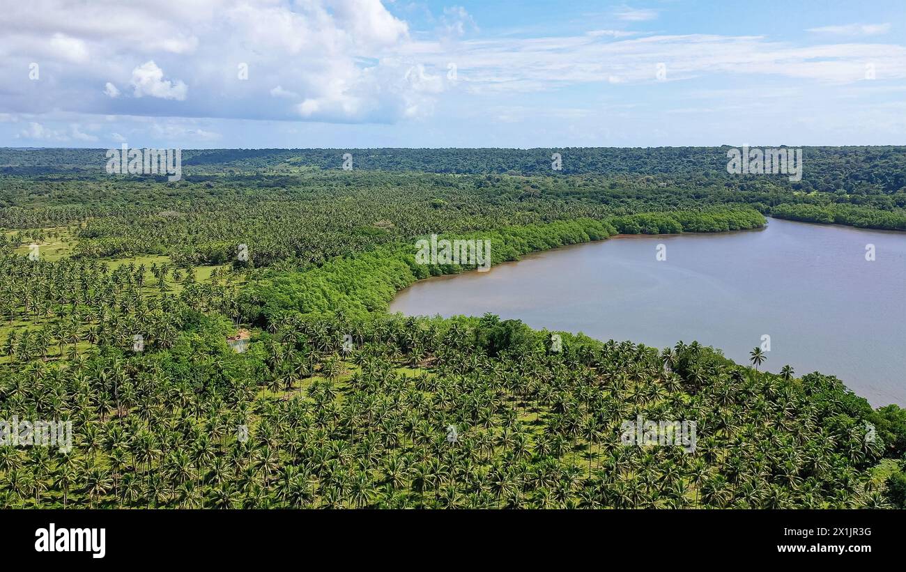 Amazon rainforest birds eye view hi-res stock photography and images ...