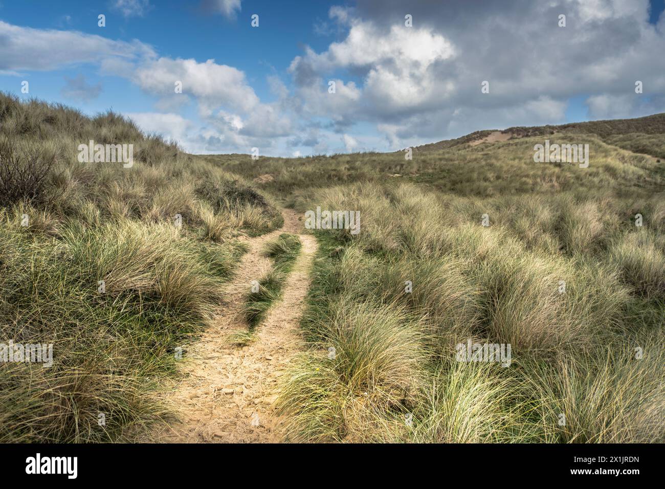 A sandy footpath through the massive Sand dune system at Holywell Beach ...