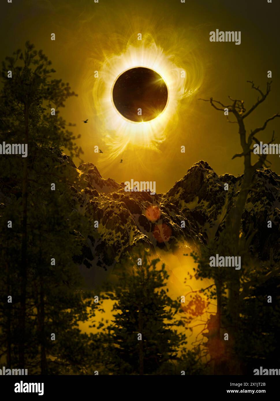 Solar eclipse moon moving hi-res stock photography and images - Alamy
