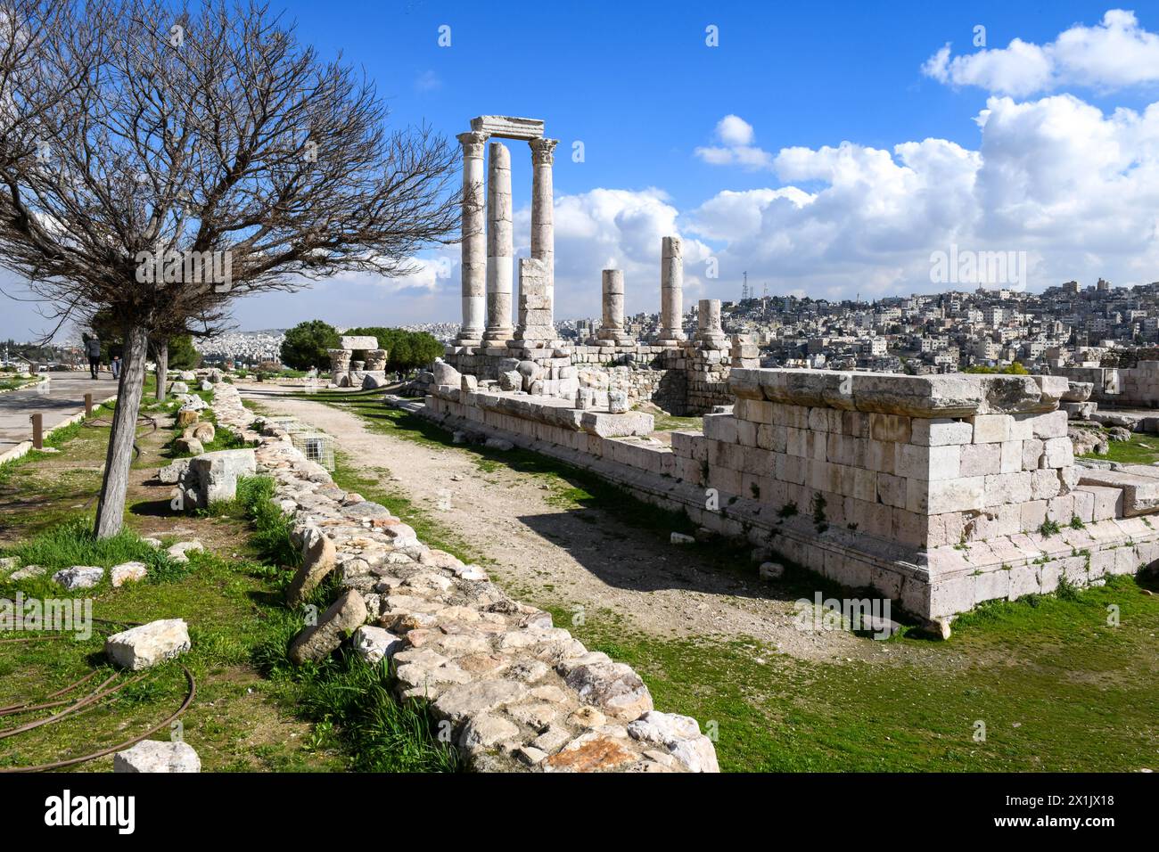 View at the roman citadel at Amman on Jordan Stock Photo - Alamy