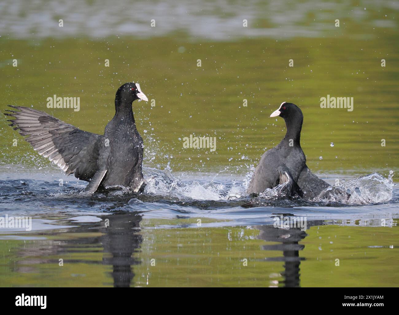 Drainage of water bodies hi-res stock photography and images - Alamy