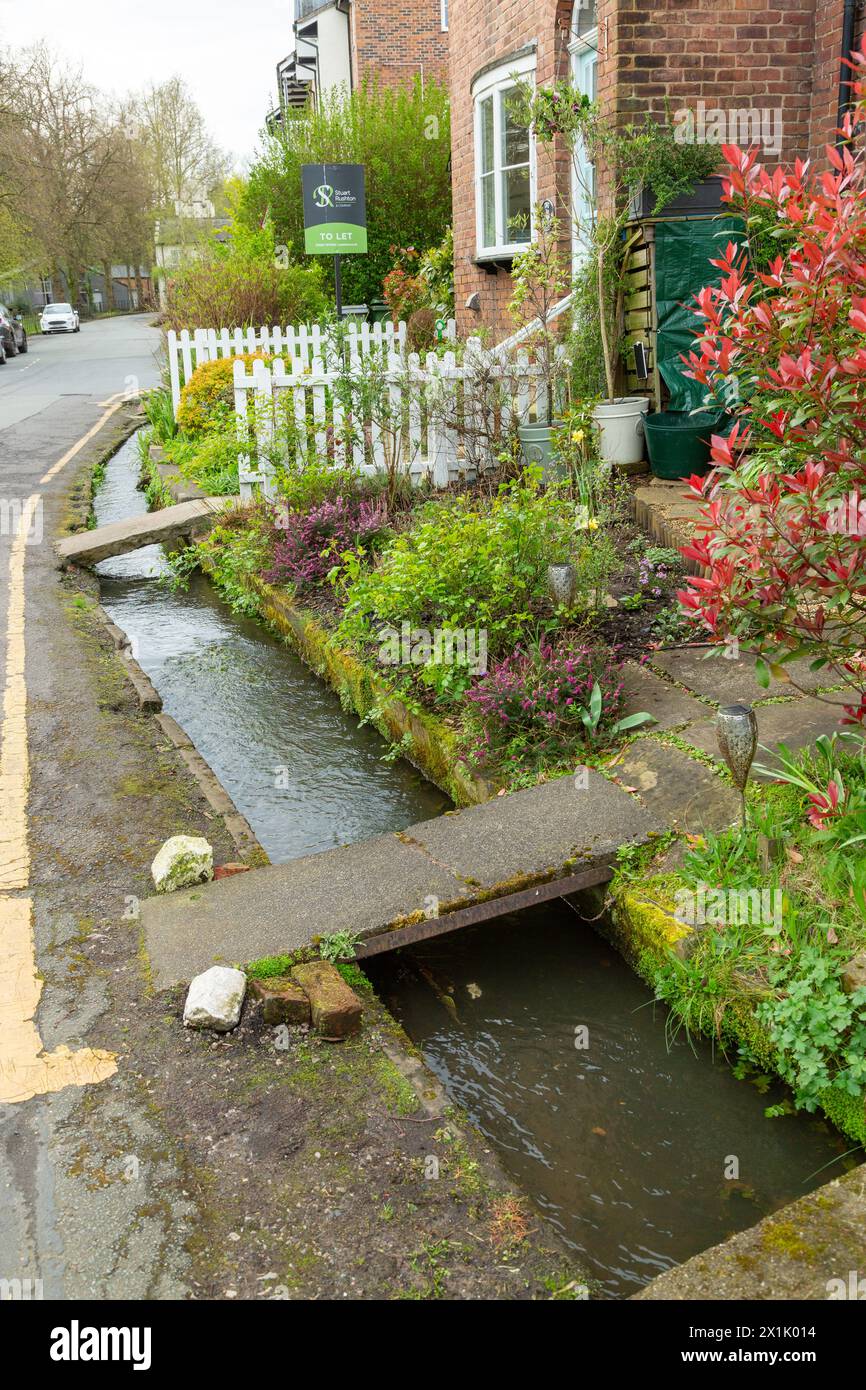 River lily knutsford hi-res stock photography and images - Alamy
