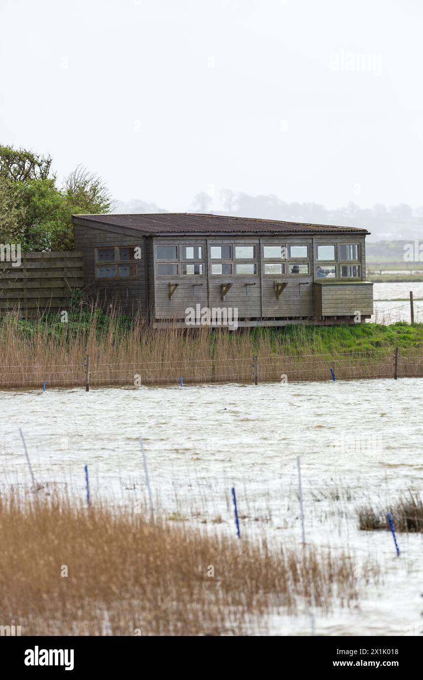 The Eric Morecambe hide viewed from the Allen Hide Leighton Moss Stock ...