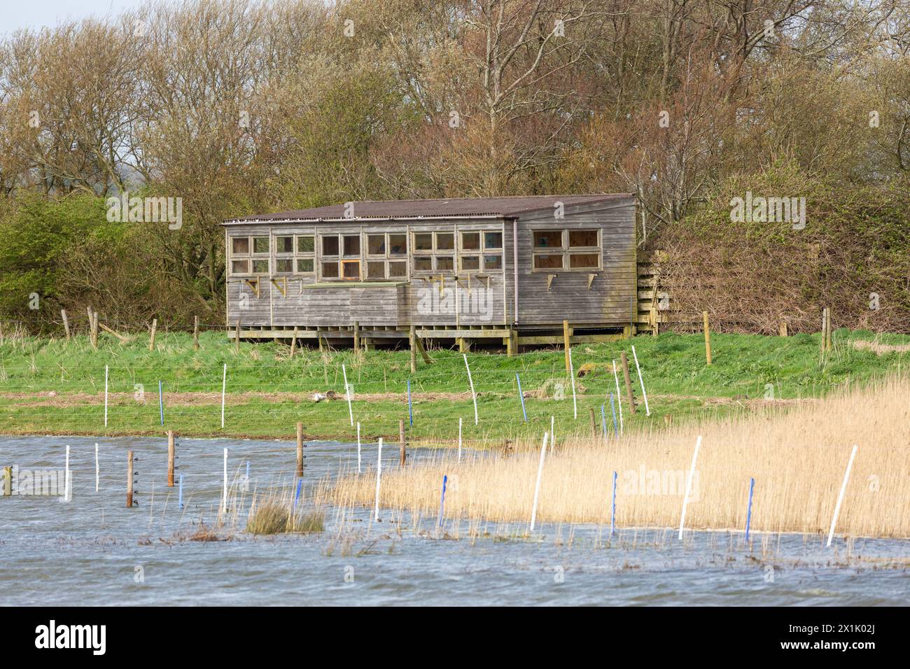 The Allen Hide at Leighton Moss viewed from the Eric Morecambe Hide ...