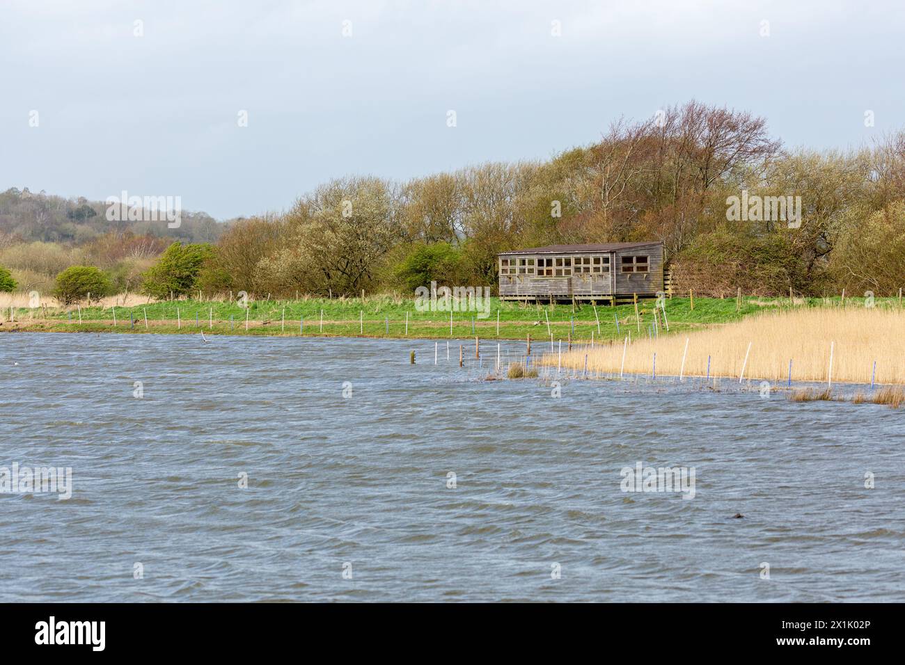 The Allen Hide at Leighton Moss viewed from the Eric Morecambe Hide ...