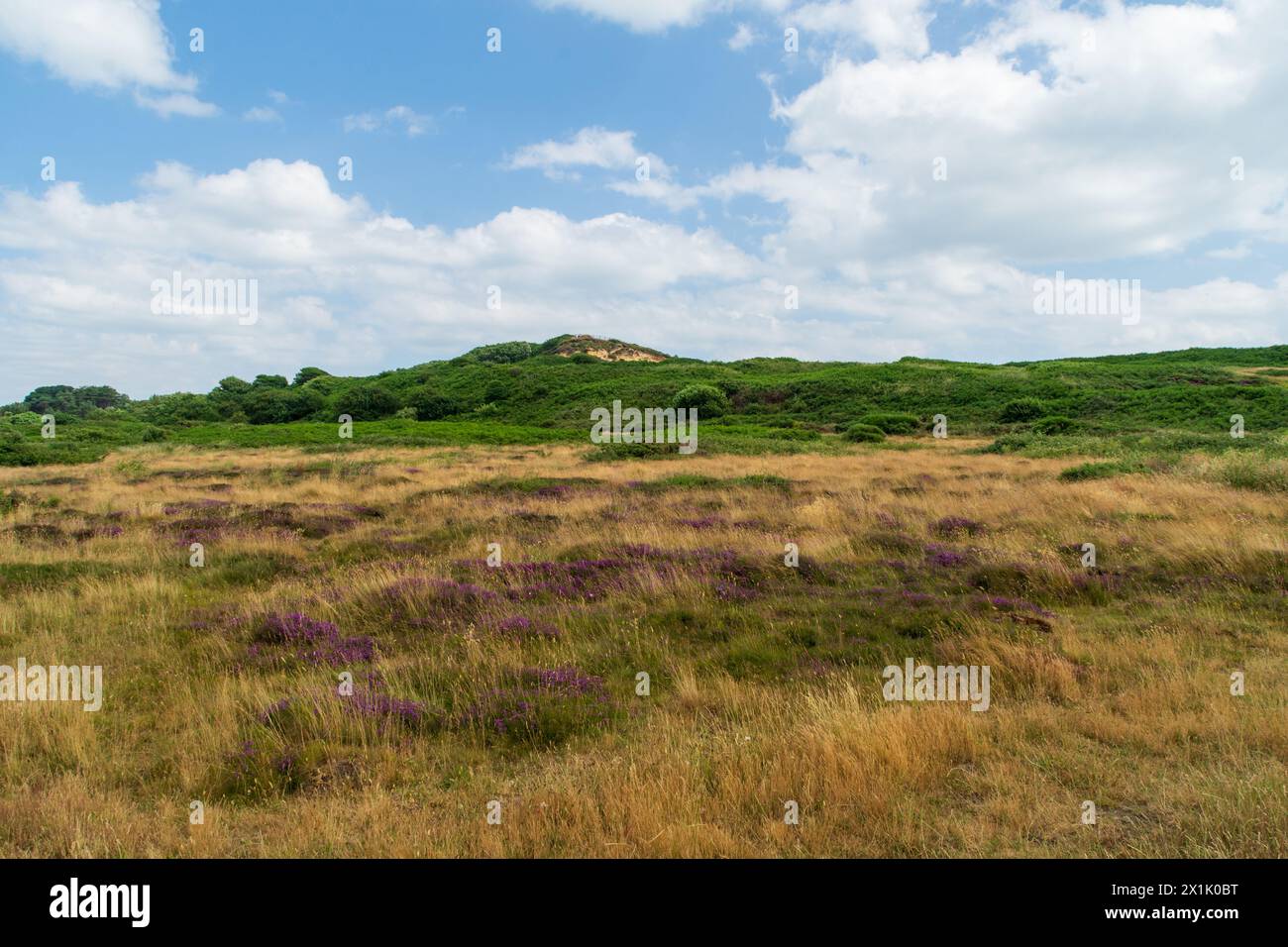 Warren head hi-res stock photography and images - Alamy