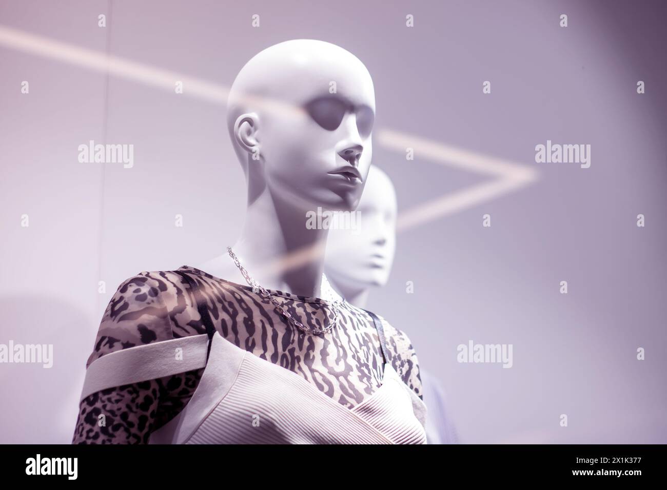 A mannequin, adorned in a stylish leopard print top, is positioned next ...