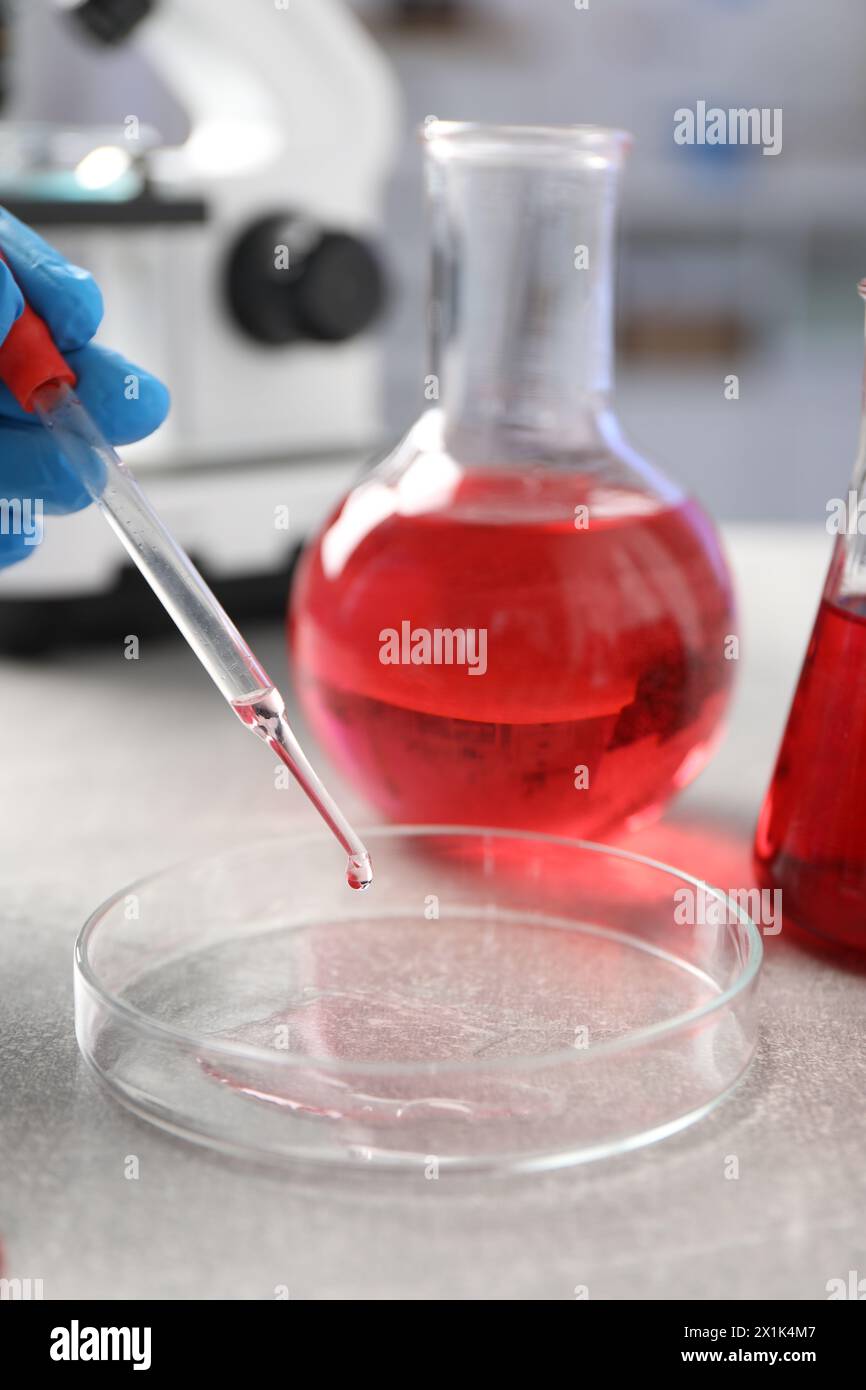 Laboratory analysis. Dripping red liquid into Petri dish on light grey ...