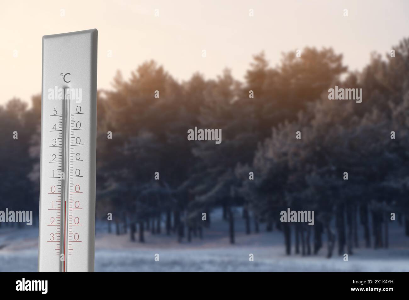 Thermometer showing temperature in snowy forest, winter weather Stock ...