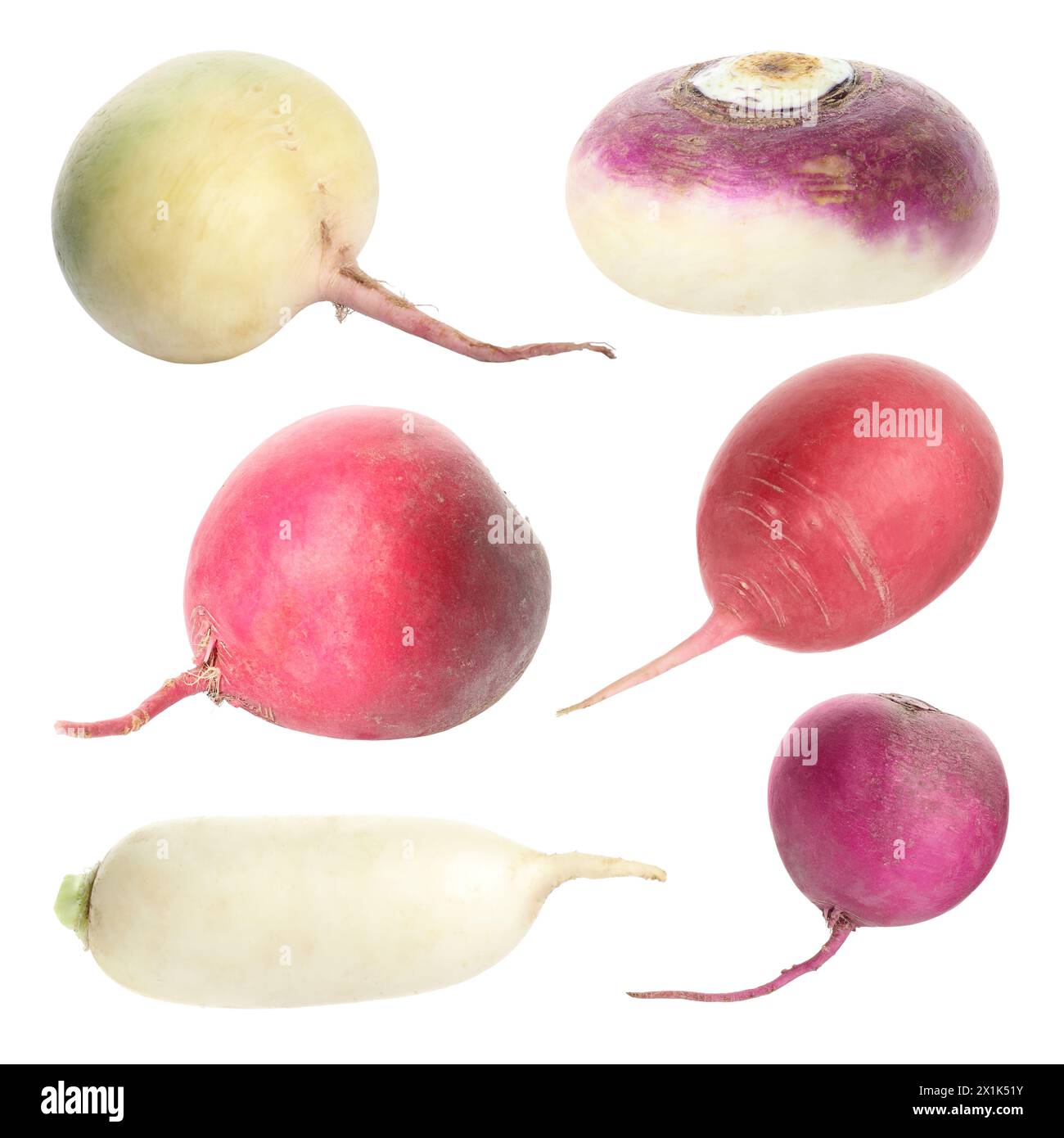 Different ripe turnips isolated on white, set Stock Photo - Alamy