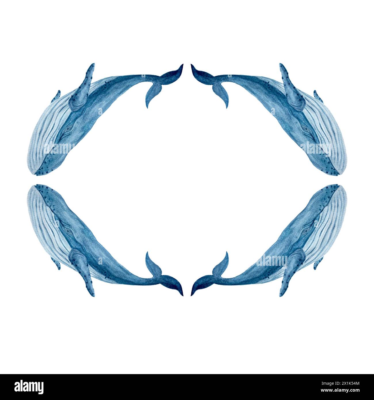 Blue whale frame hand-drawn in watercolor isolated on white. High ...