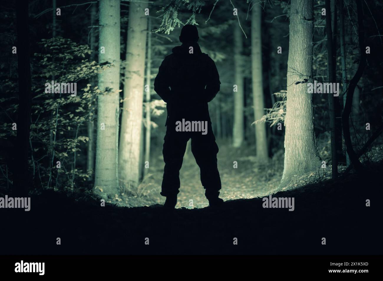 Missing Person Forest Search Using Powerful Flashlight Stock Photo - Alamy