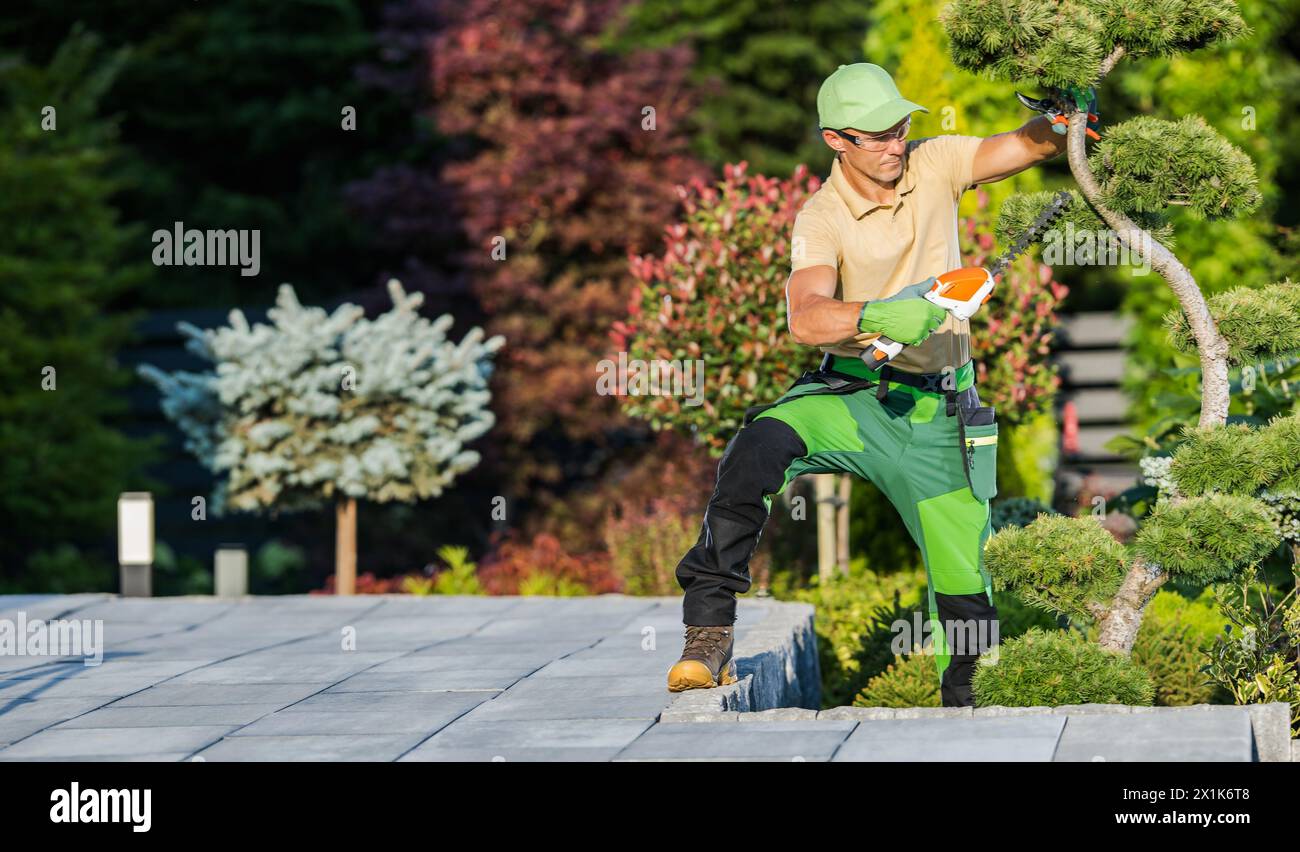 Professional Gardener Trimming and Shaping Decorative Plants Inside a ...