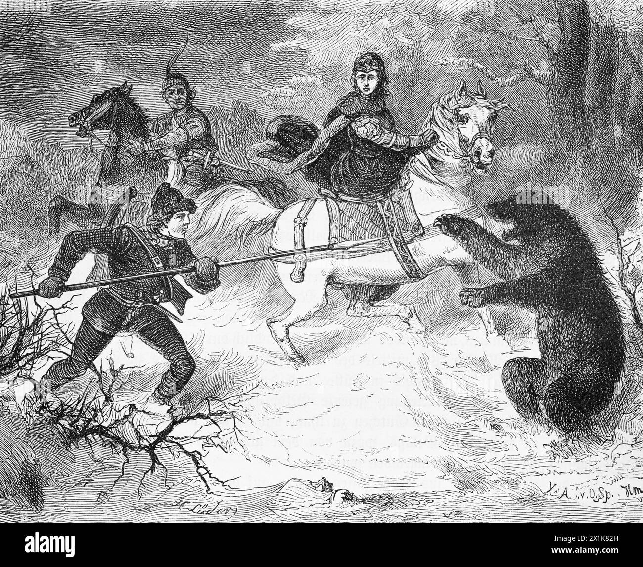 Hunting bears, Prussia, historic illustration 1880 Stock Photo - Alamy