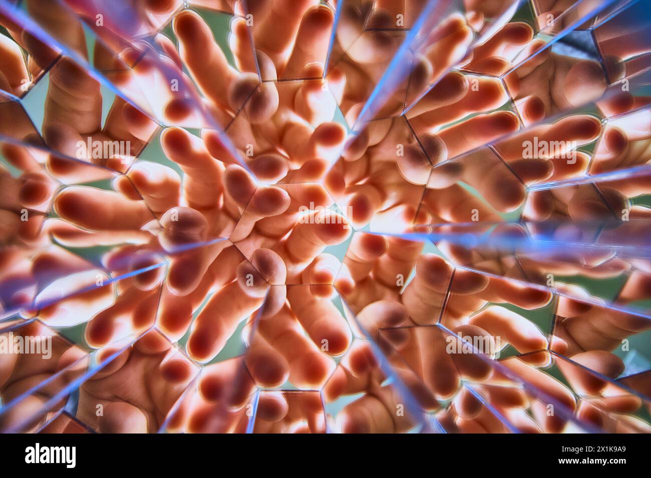Abstract Fingers Kaleidoscope Patterns with Light Refraction Stock ...