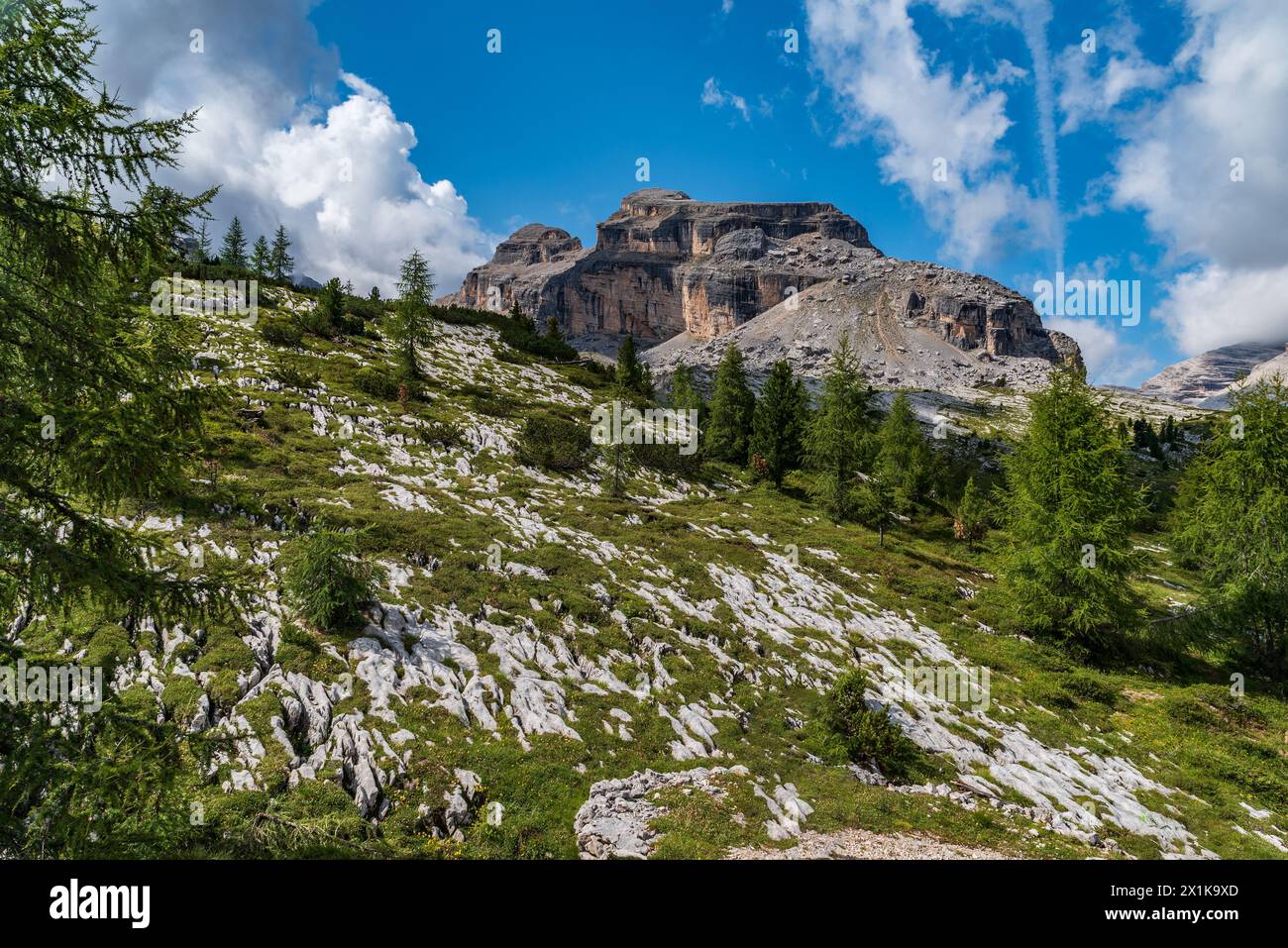 Cima campestrin hi-res stock photography and images - Alamy